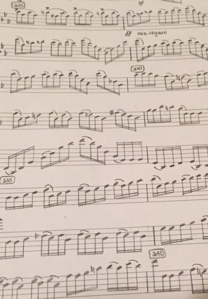 The Beginner's Guide to Orchestral Excerpts - Jenny Maclay