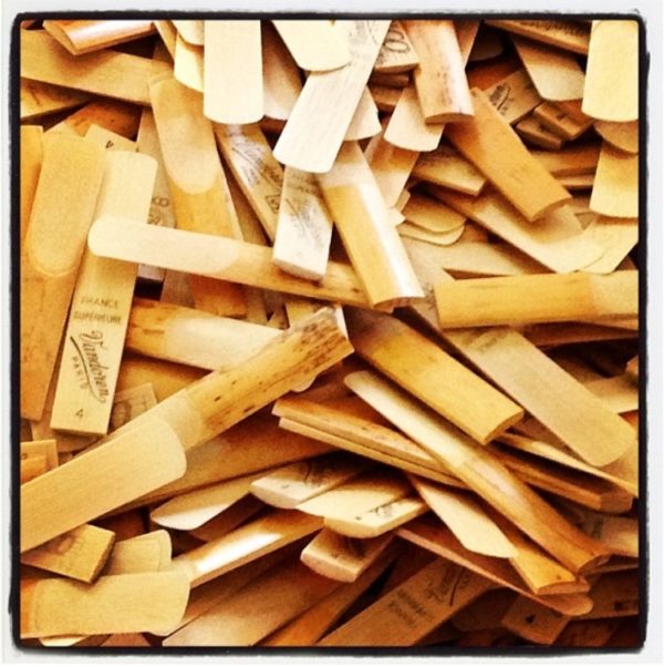 No More Chipped Reeds: A Beginner’s Guide to Reed Care - Jenny Maclay