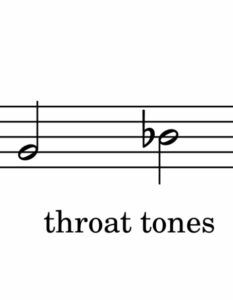 The range and registers of the clarinet - Jenny Maclay